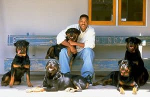 6 Celebrities With Rottweilers - Rottweiler Life