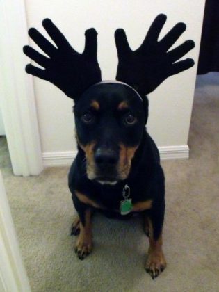 Here Are 10 Last-Minute Halloween Costume Ideas For Your Favorite ...