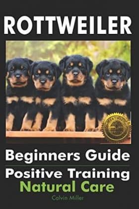 14 Must-Read Books About Rottweilers - Rottweiler Life