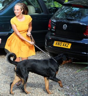 10 Celebrities Own Rottweiler Dogs - Rottweiler Life