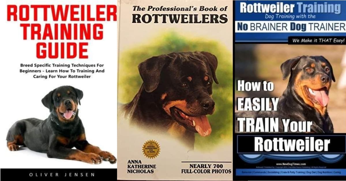 14 Must-Read Books About Rottweilers - Rottweiler Life